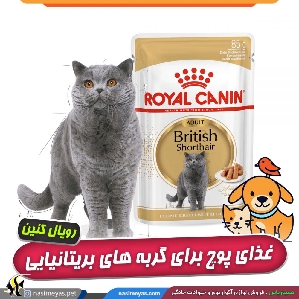 غذای پوچ گربه ادولت بریتیش رویال کنین نسیم یاس